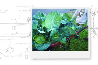 Grass Roots Magazine | Sustainability | Urban Farming | Home - Grass ...